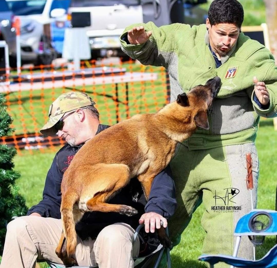 About The Dog Training Institute Founder & Head Trainer